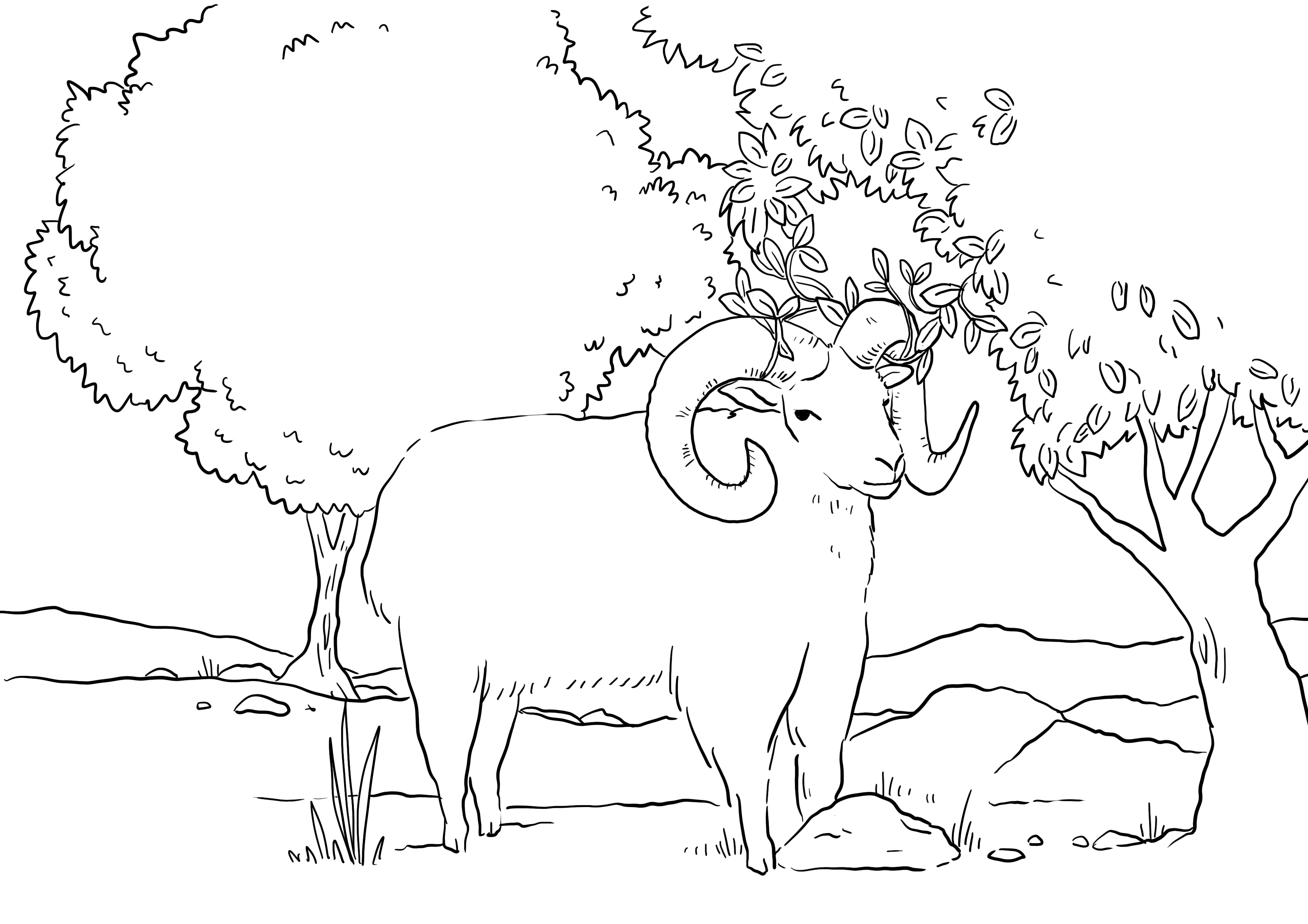 פרשת וירא - ש״י לילדים